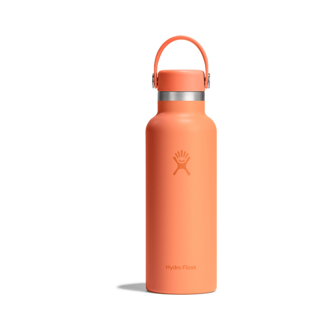 Standard Flex Cap Water Bottle – ROX PH